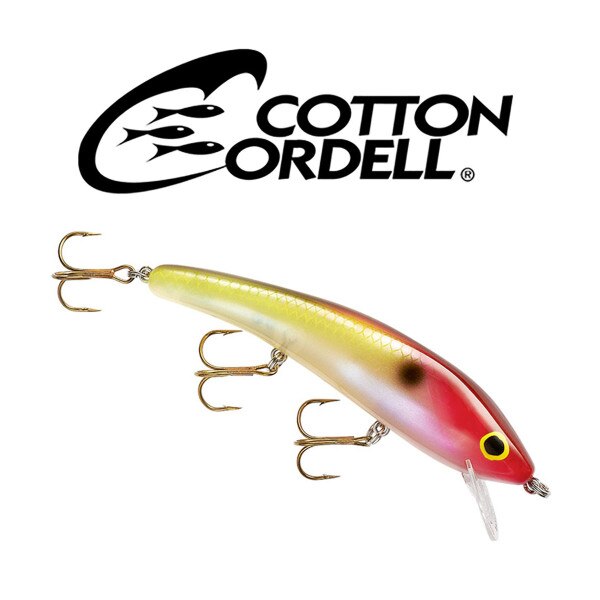 COTTON CORDELL RIPPLIN' RED FIN CRANKBAITS, Fishing Tackle | Jann's ...