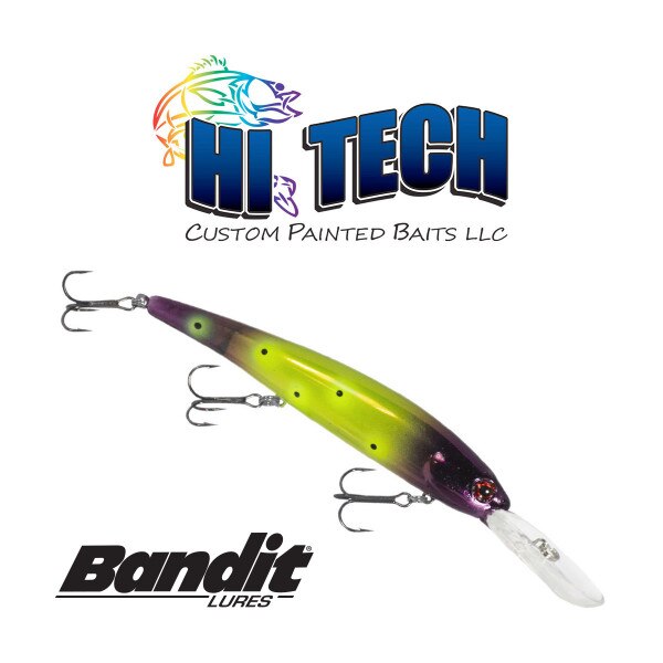 HI-TECH CUSTOM PAINTED DEEP WALLEYE BANDITS, Fishing Tackle | Jann's ...