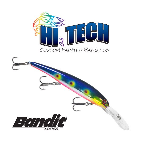 HI-TECH CUSTOM PAINTED DEEP WALLEYE BANDITS, Fishing Tackle | Jann's ...