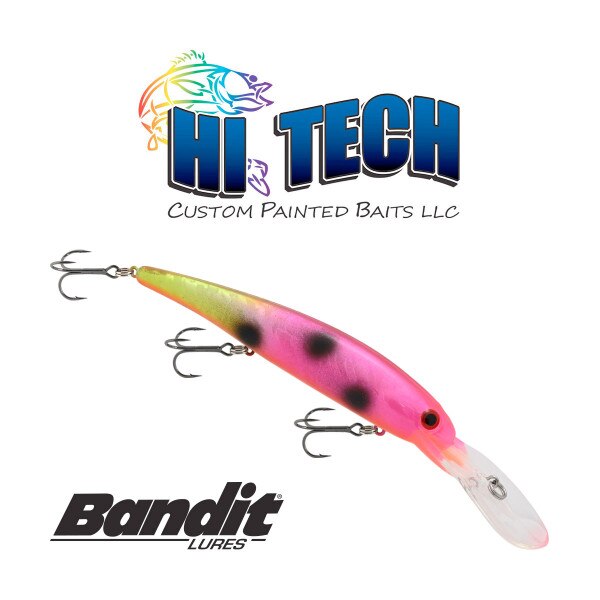 HI-TECH CUSTOM PAINTED DEEP WALLEYE BANDITS, Fishing Tackle | Jann's ...