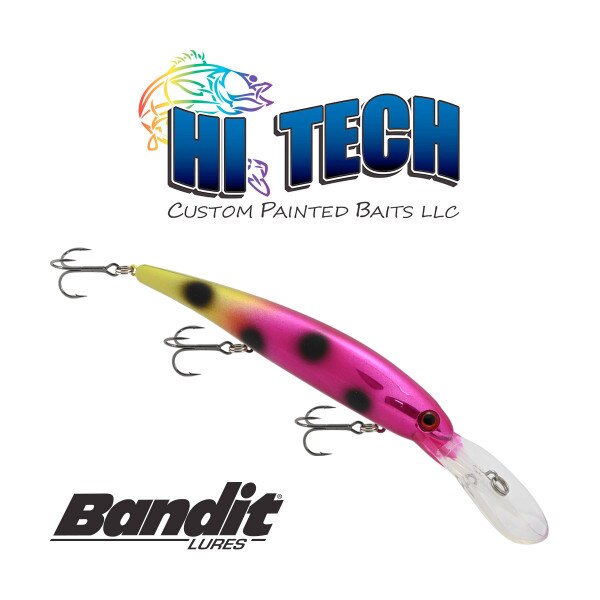 HI-TECH CUSTOM PAINTED DEEP WALLEYE BANDITS, Fishing Tackle | Jann's ...
