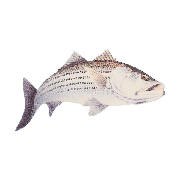 DECORATIVE ROD DECALS , Rod Building | Jann's Netcraft