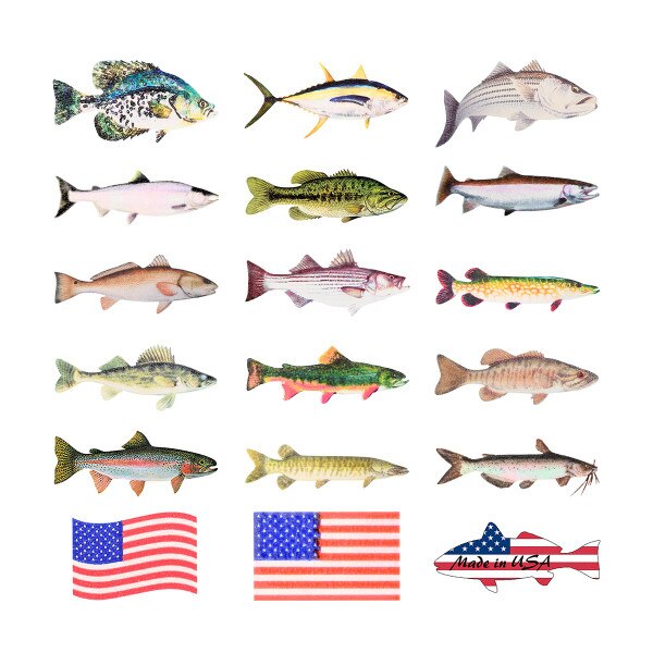 DECORATIVE ROD DECALS , Rod Building | Jann's Netcraft