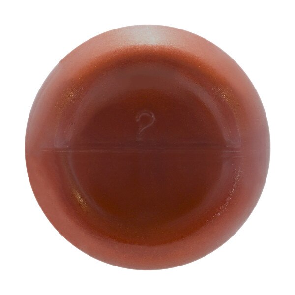 SOFT PLASTIC WORM COLORING