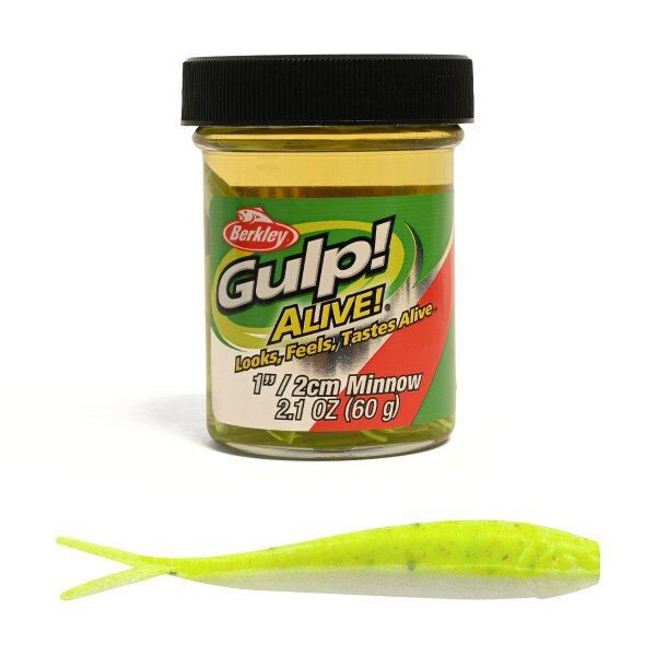 BERKLEY GULP ALIVE MINNOW 1" 2.1 OZ. JAR, Soft Plastic | Jann's Netcraft