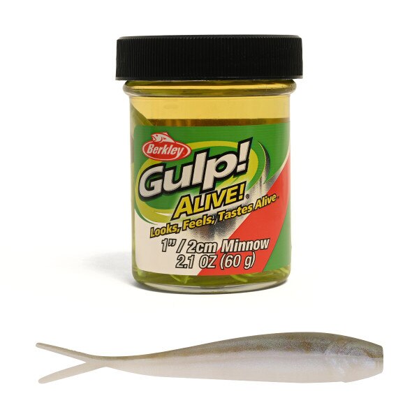 BERKLEY GULP ALIVE MINNOW 1" 2.1 OZ. JAR, Soft Plastic | Jann's Netcraft