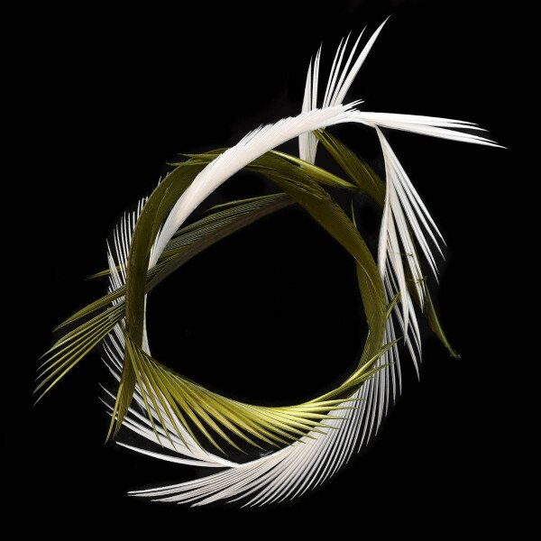 STRIPPED GOOSE BIOTS 4PK, Fly Tying | Jann's Netcraft